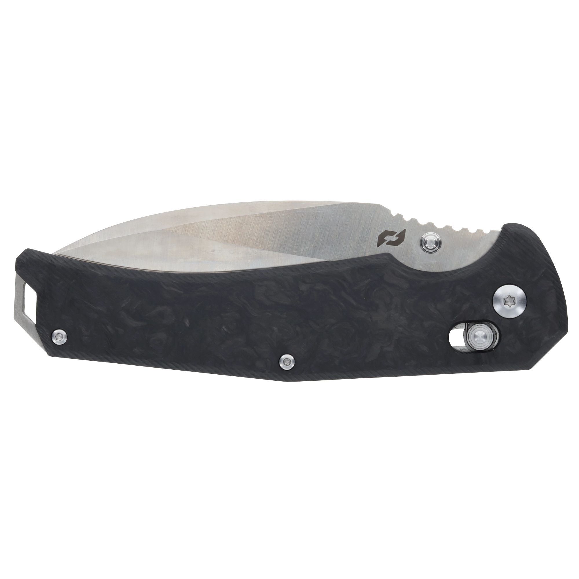 Radok Pivot Lock Folder | Schrade